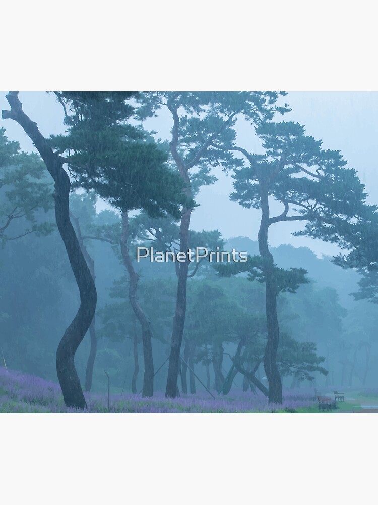 "Mexican Pinyon Pines and the Blue Mist" Sticker for Sale by ...