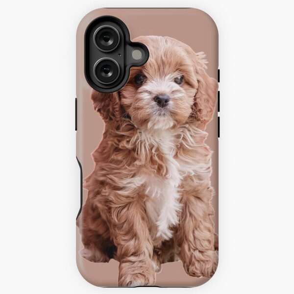 Cavapoo Merch & Gifts for Sale | Redbubble
