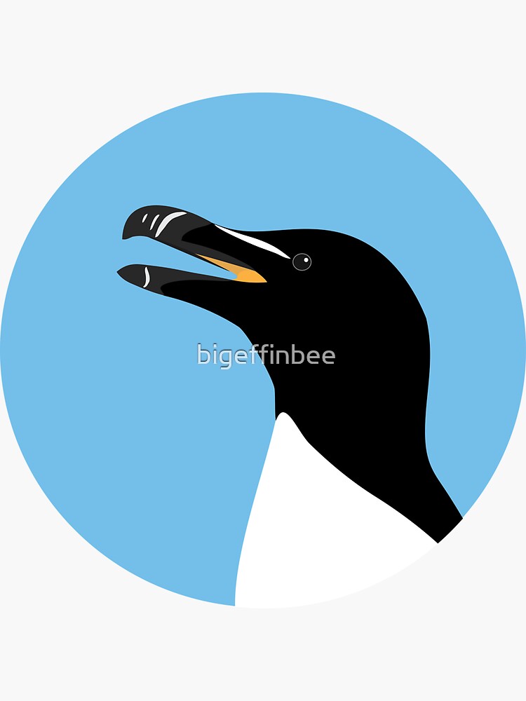 "Razorbill head" Sticker by bigeffinbee | Redbubble