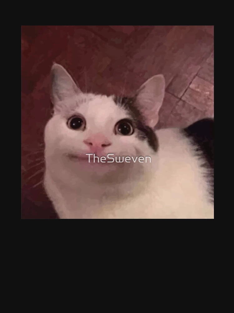 Awkward Cat Meme Awkward Pet Videos || Funny Pet Compilation