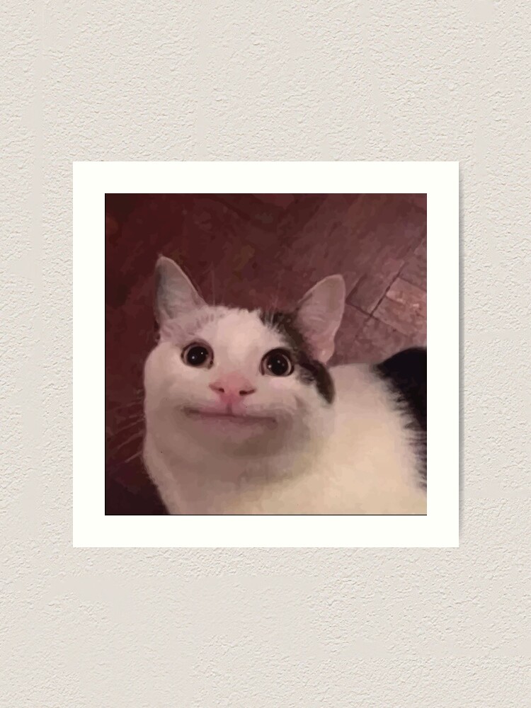 "Awkward Smiling Cat meme" Art Print for Sale by TheSweven | Redbubble