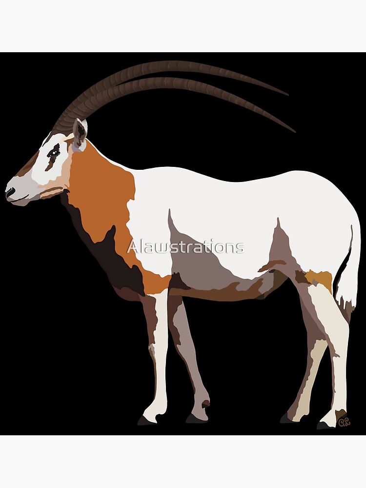 Póster «Orix de cuernos de cimitarra (Oryx dammah)» de Alawstrations ...