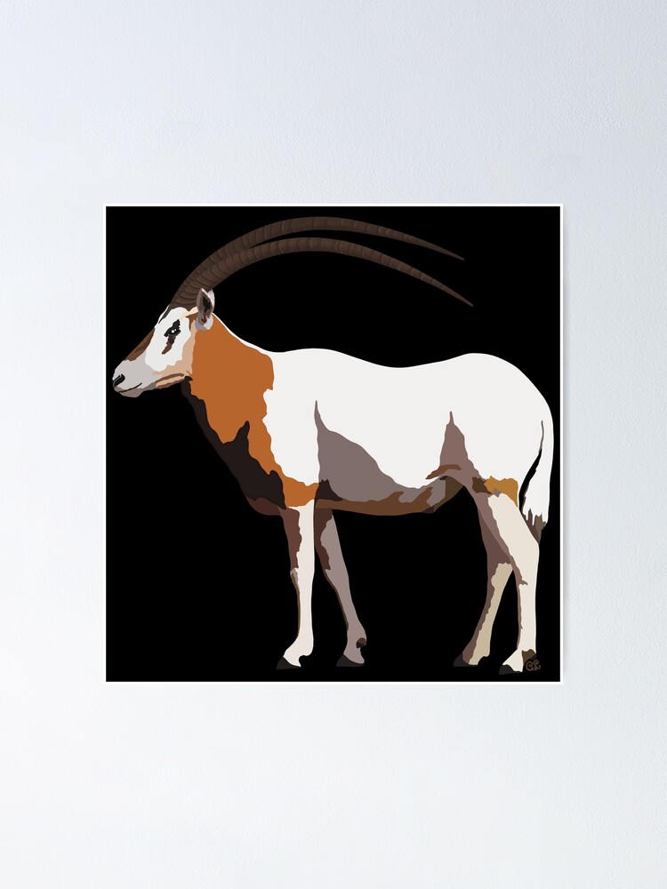 Póster «Orix de cuernos de cimitarra (Oryx dammah)» de Alawstrations ...