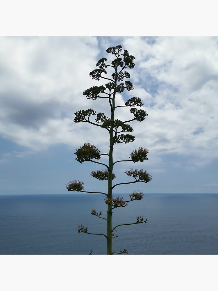 "Tall Skinny Tree on Lake Landscape" Sticker for Sale by NaturalBlends ...