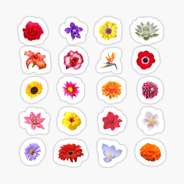 "All the Flowers | Bright colorful flower display | Floral Sticker Pack ...