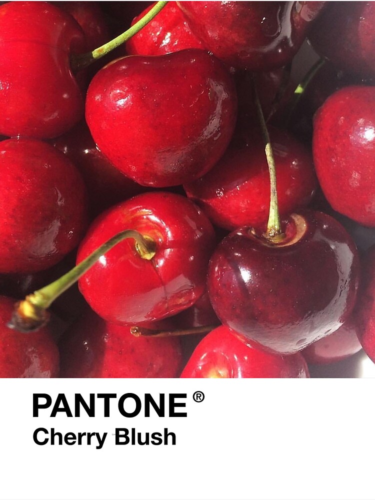 "cherry blush pantone swatch" Sticker for Sale by thebitchesclub ...