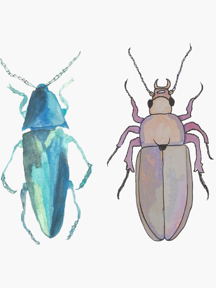 "Duo of beetles" Sticker for Sale by pentaenix | Redbubble