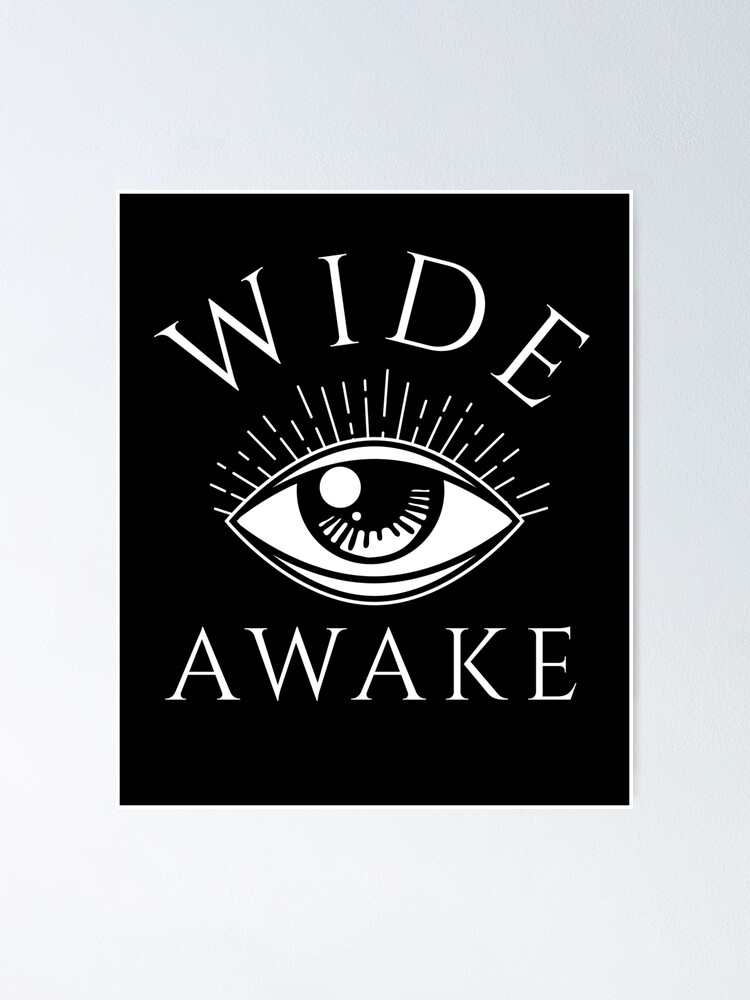 "Lincoln Wide Awakes Political Voter Election Day" Poster for Sale by ...