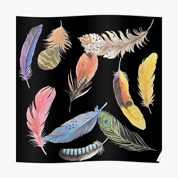 Screenprints Falling Feathers Screen Print Art & Collectibles etna.com.pe