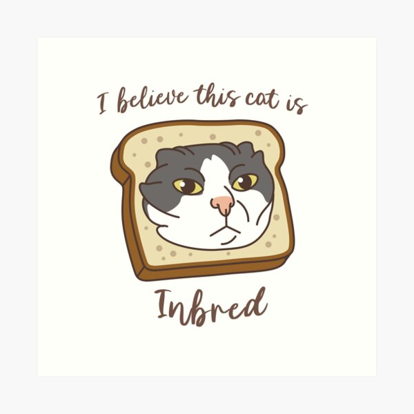 "Inbred Cat Meme" Art Print for Sale by Squosh | Redbubble