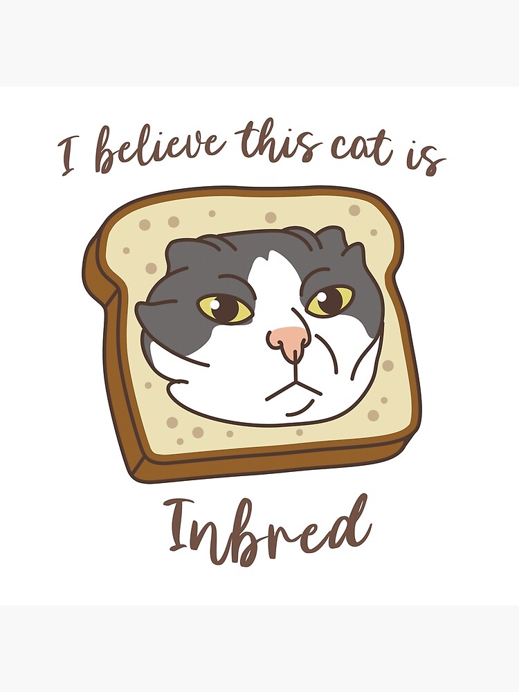 "Inbred Cat Meme" Art Print for Sale by Squosh | Redbubble