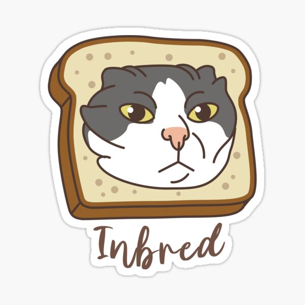 "Inbred Cat Meme" Sticker by Squosh | Redbubble