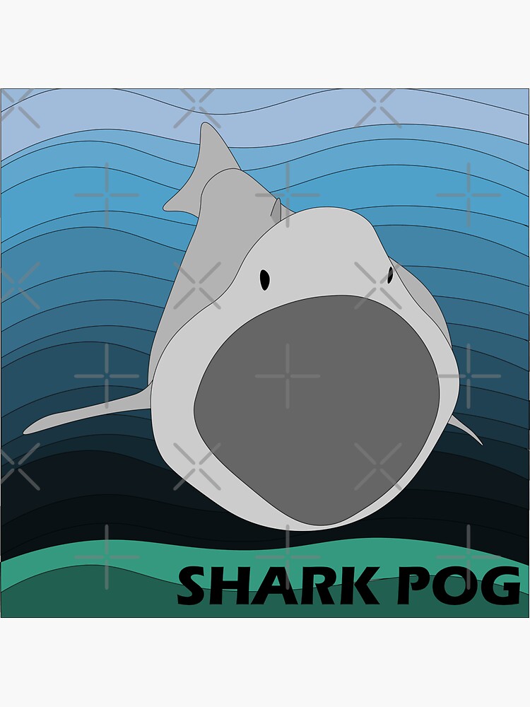 "Shark Pog" Sticker for Sale by njlee123 | Redbubble