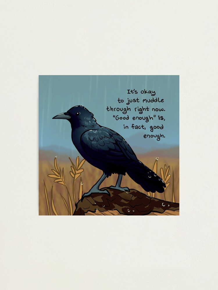 ""'Good Enough' is, in Fact, Good Enough" Rainy Day Crow" Photographic ...