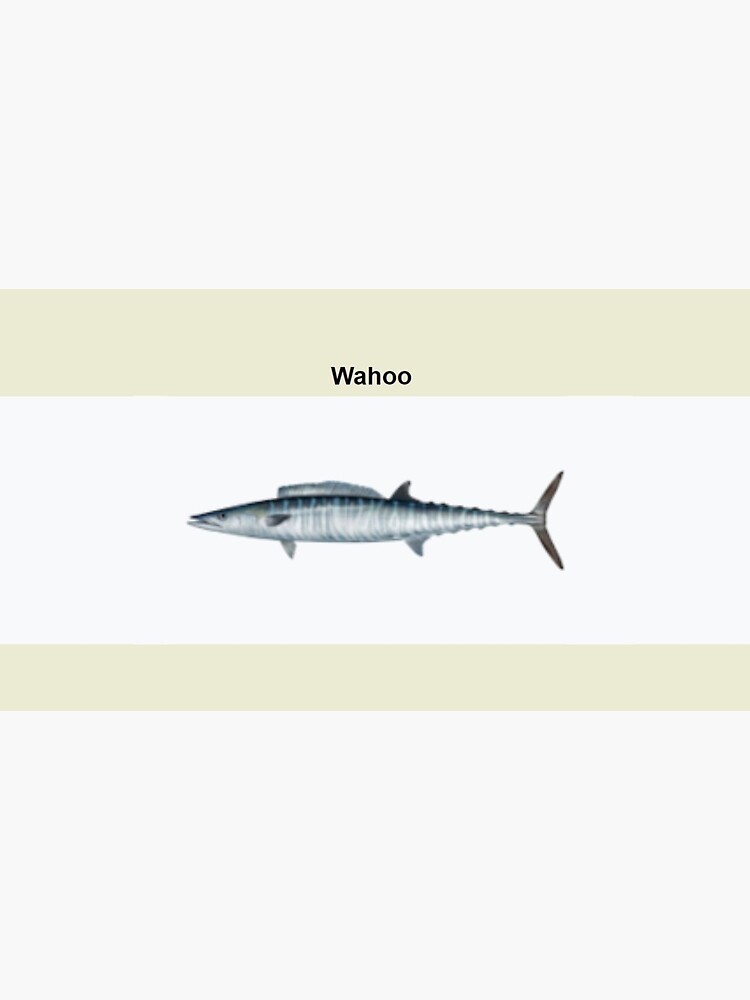 "Wahoo" Sticker by Jupitarts | Redbubble