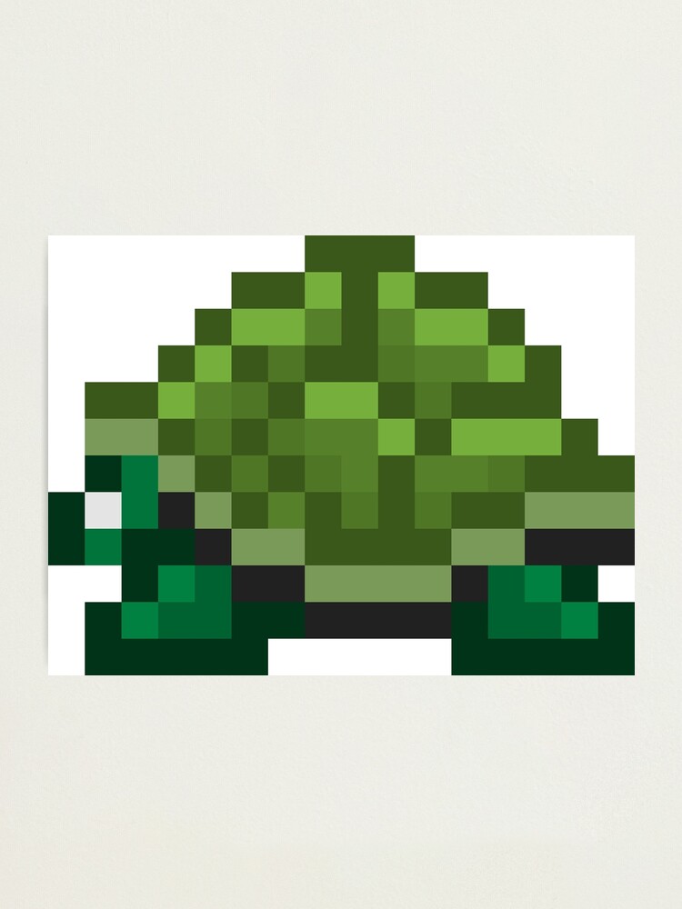 "Terraria Turtle pet" Photographic Print for Sale by Tippen | Redbubble