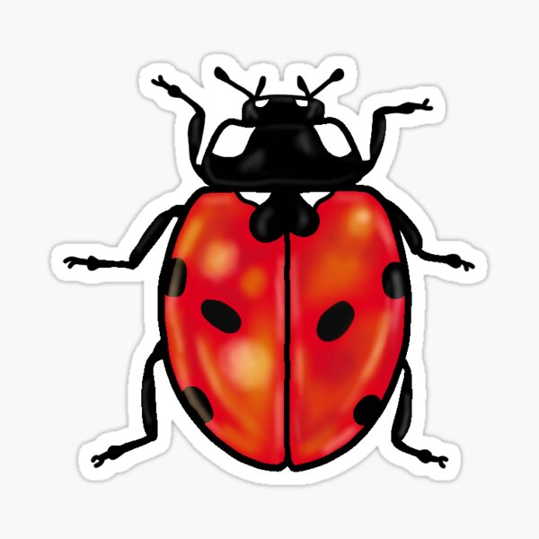 "lady bird / lady bug" Sticker by natalieeart | Redbubble