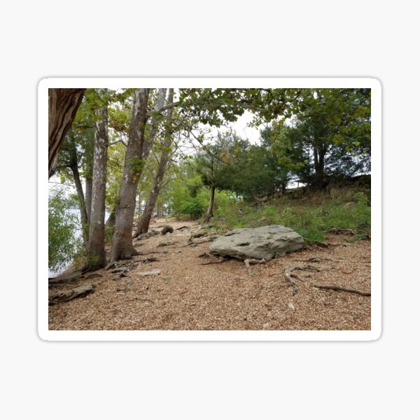 "Sycamore Trees" Sticker for Sale by PM-designshop | Redbubble