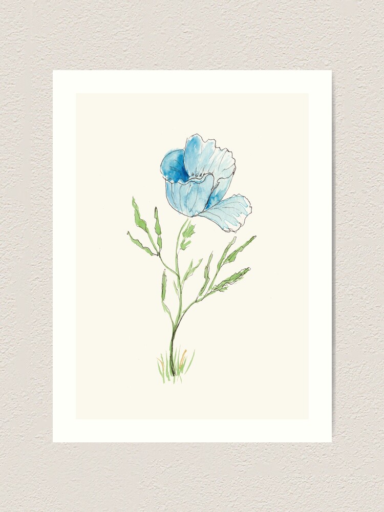 "Blue Poppy Sketch in Pen, Ink and Watercolor" Art Print by ConniSchaf ...