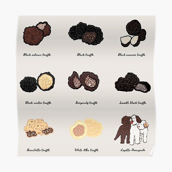 "Truffle hunter" Poster by littleredcheeks | Redbubble