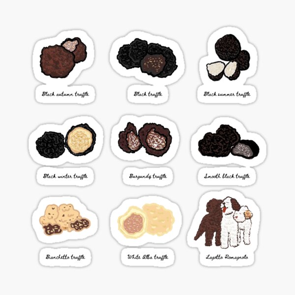 "Truffle hunter" Sticker for Sale by littleredcheeks | Redbubble