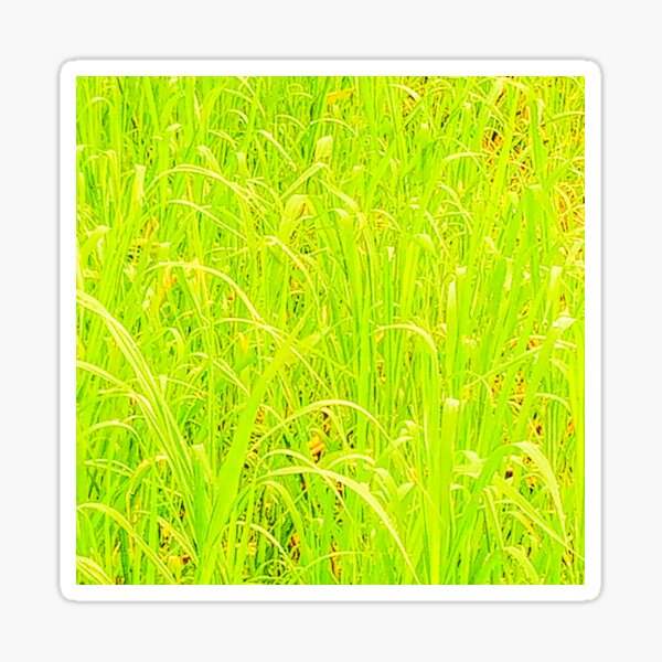 "Vintage Green Grass" Sticker for Sale by LordanJ | Redbubble