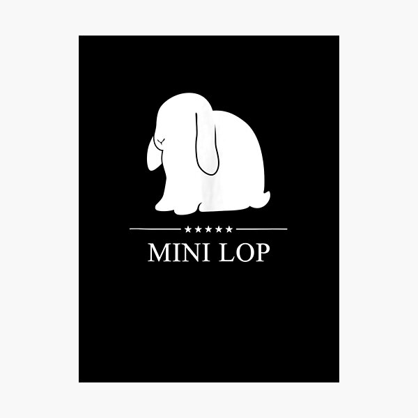 Lámina fotográfica «Conejo Mini Lop Blanco Silueta» de Omar-Hendricks ...