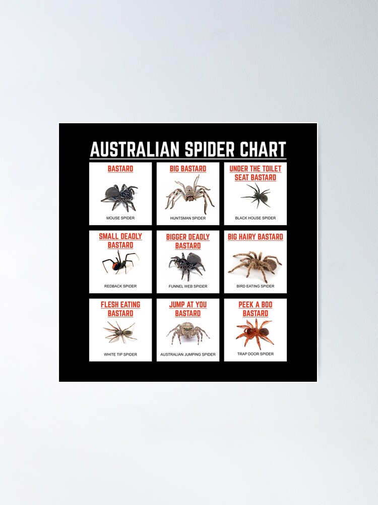 "Funny Australian Spider Chart" Poster for Sale by Carl Craddock ...