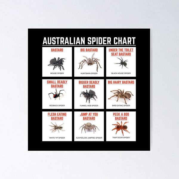 "Funny Australian Spider Chart" Poster for Sale by Carl Craddock ...
