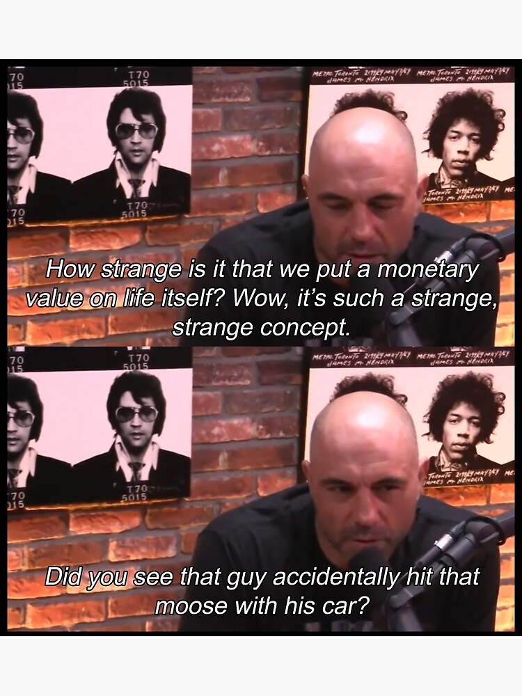 "Joe Rogan Moose Quote" Poster for Sale by JamiePullThatUp | Redbubble