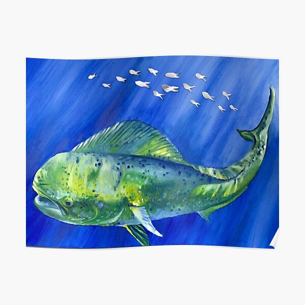 "Mahi Oil Painting" Poster by Graceeireland | Redbubble