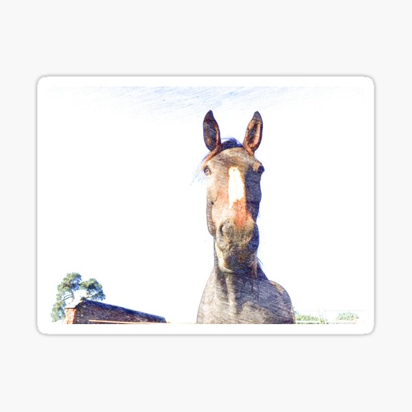 "BOSS MARE" Sticker for Sale by popintheclouds | Redbubble
