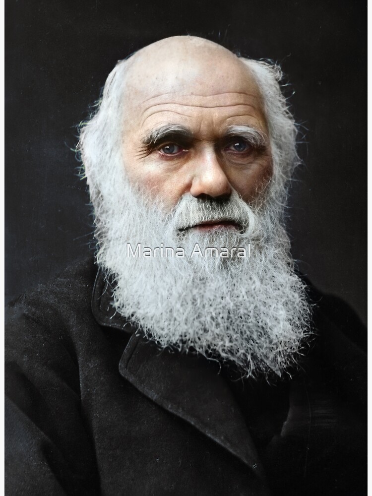 "Charles Darwin" Sticker for Sale by Marina Amaral | Redbubble