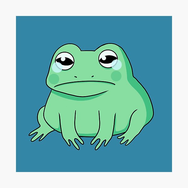 Sad Frog Photographic Prints | Redbubble