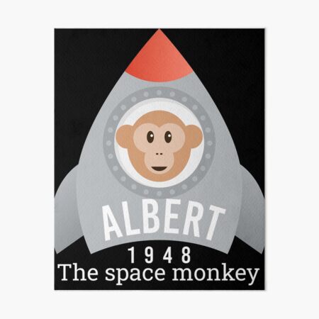 "Albert the first Monkey in Space 1948" Art Board Print for Sale by ...
