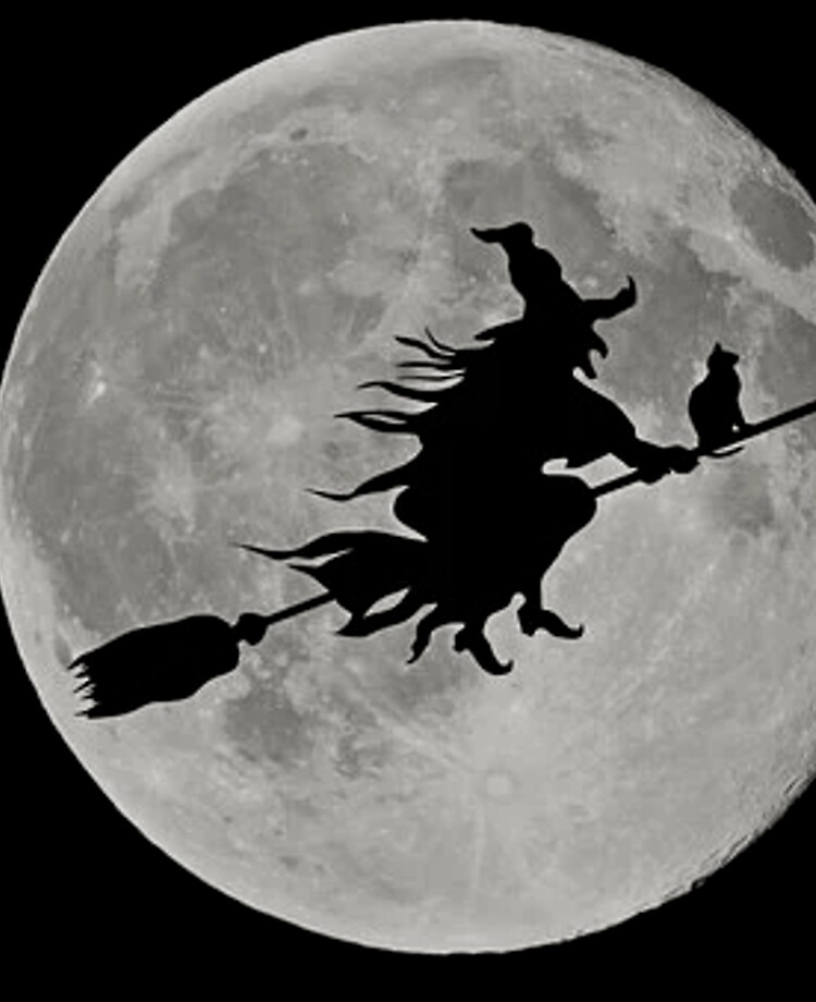 Halloween Witch On A Broom With Cat Moon Silhouette Halloween
