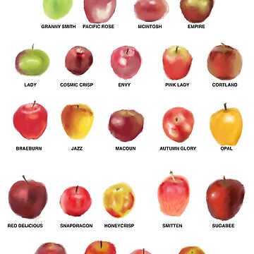 "Apples and text" Poster for Sale by thehat24 | Redbubble