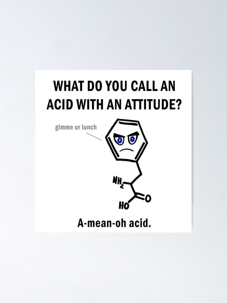 Amino Acid Memes Conserved Motifs Analysis Using The MEME (version