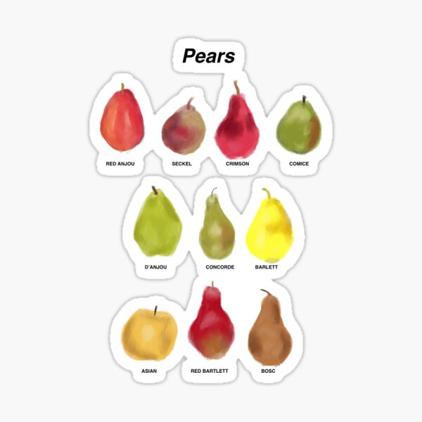 "pear varieties and text" Sticker for Sale by thehat24 | Redbubble