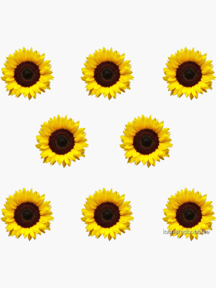 "Sunflower sticker pack" Sticker by ioanaredbubblee | Redbubble