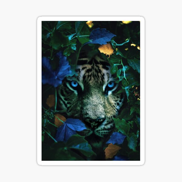 "Tiger Eyes" Sticker for Sale by mtforlife66 | Redbubble
