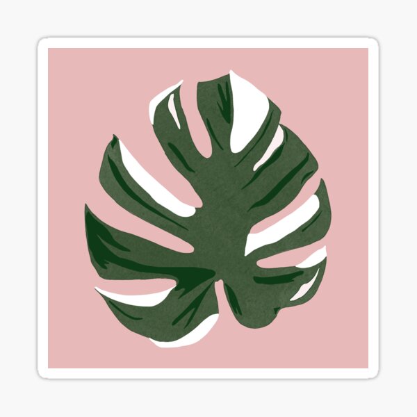 "variegated monstera " Sticker for Sale by mak1622 | Redbubble