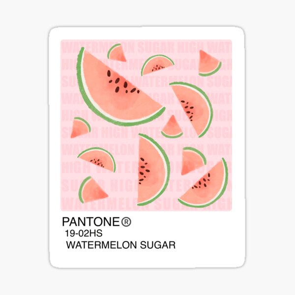 "Pantone Watermelon Sugar" Sticker for Sale by alexisgoerlich | Redbubble