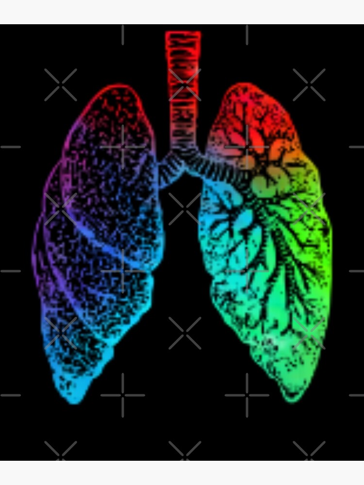 Póster «Breathe - Anatomía del diseño del arte de los pulmones de ...