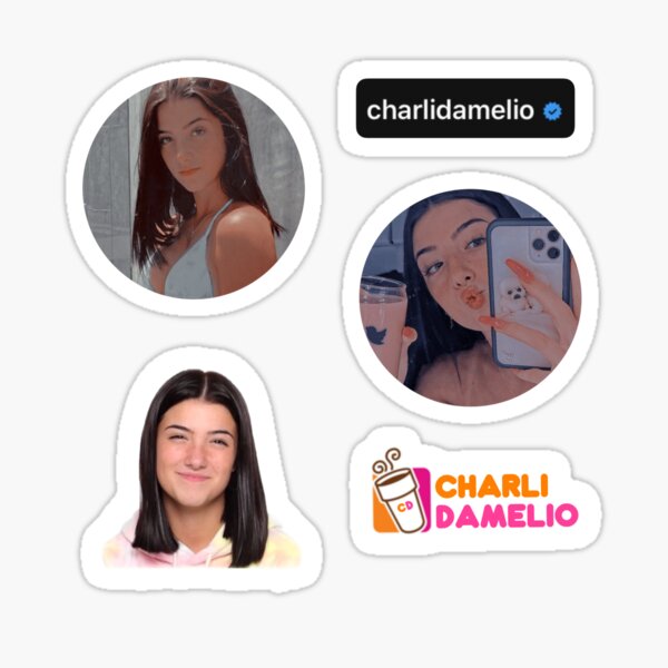 "Charli Pack" Sticker for Sale by creatingcat | Redbubble
