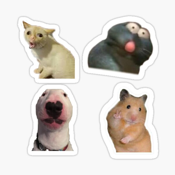 "Meme animal sticker pack " Sticker by Jessicavdavies | Redbubble