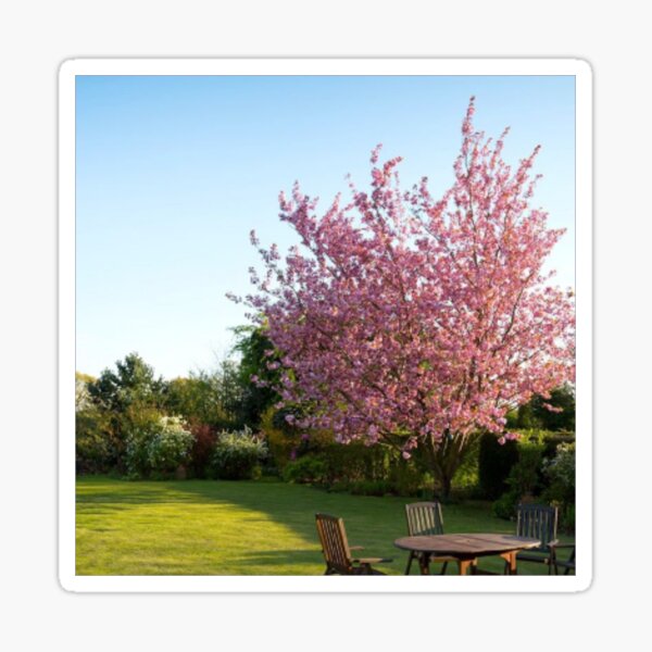 "Red Bubble,art work,t shirt design, digital art,hd wallpaper, nature ...