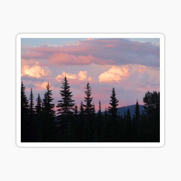 "Black Trees, Pink Sky " Sticker by CAFACES | Redbubble