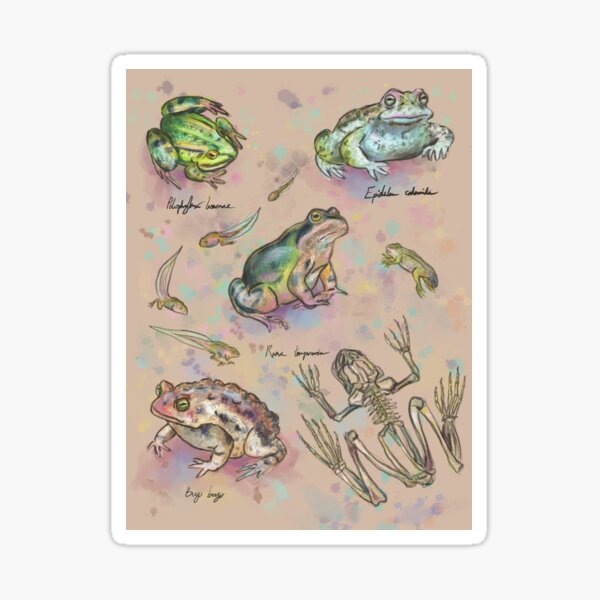 "Frogs (beige)" Sticker for Sale by amberohara | Redbubble