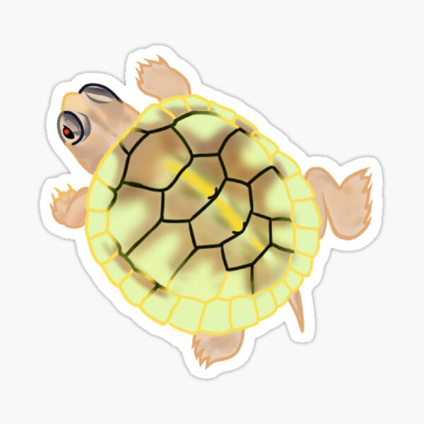 "Caramel red eared slider turtle" Sticker for Sale by AlecRt | Redbubble